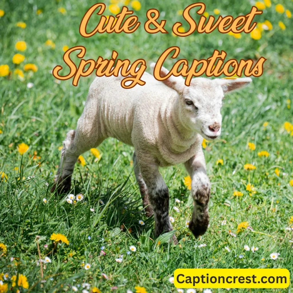 Spring Captions 2026: 300+ Ready-to-Use Ideas & Tips 🌸