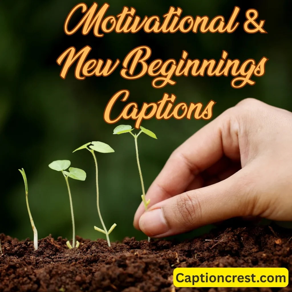 Spring Captions 2026: 300+ Ready-to-Use Ideas & Tips 🌸